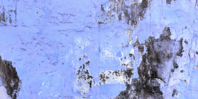 How To Remove Mold From Walls - Country Diaries